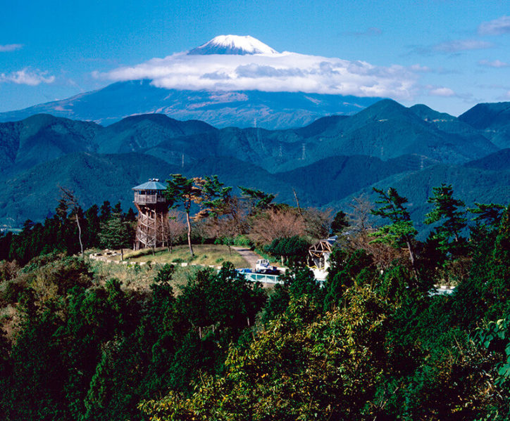 大日堂～ヤビツ峠付近／ドライブで楽しむ桜と丹沢 – レアリア